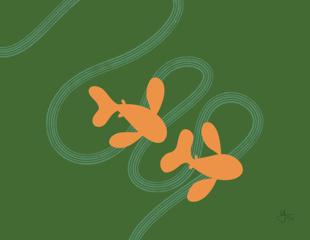 Farmers drain fields - Koi drawings and paintings by Mal Jones